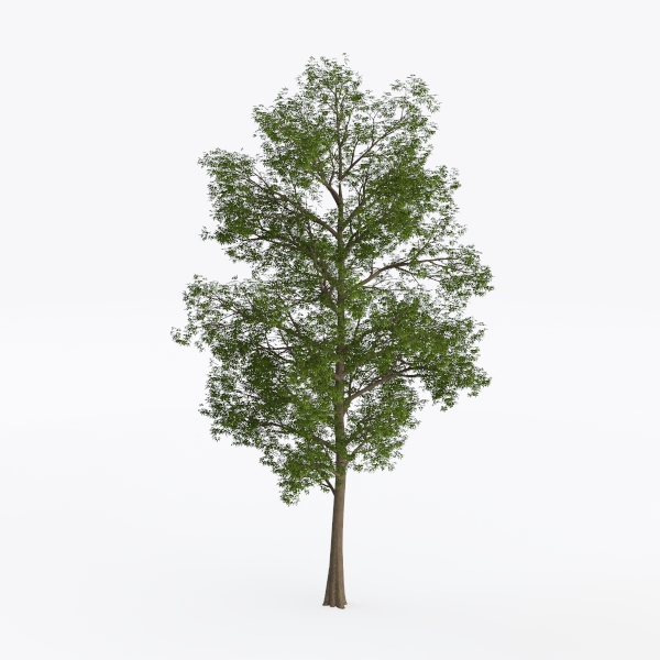 tree-Landscape Greenery | Homestyler