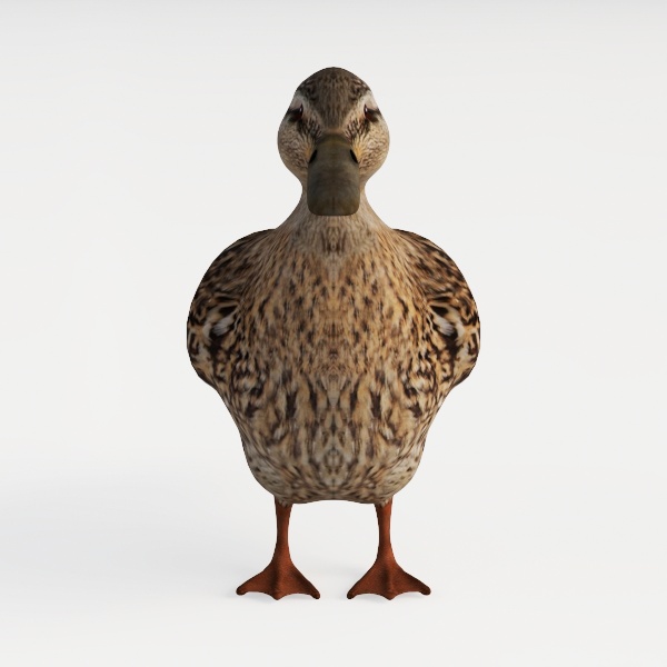 Homestyler 3D Models Library: Realistic 3D Models and 2D Textures for ...