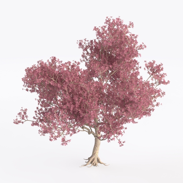 Homestyler 3D Models Library: Realistic 3D Models and 2D Textures for ...